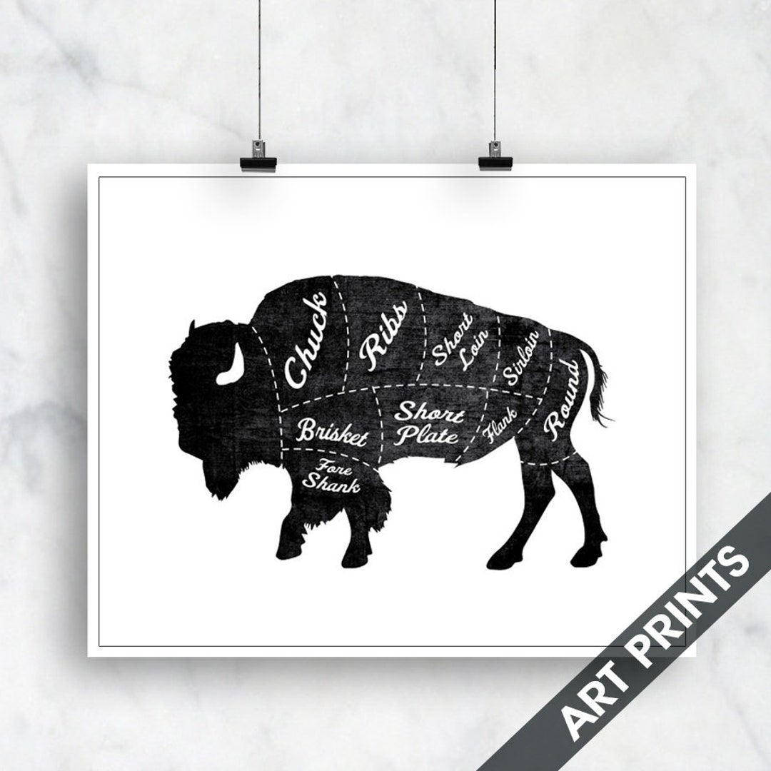 Bison (butcher Diagram Series) - Art Print (featured in Vintage ...
