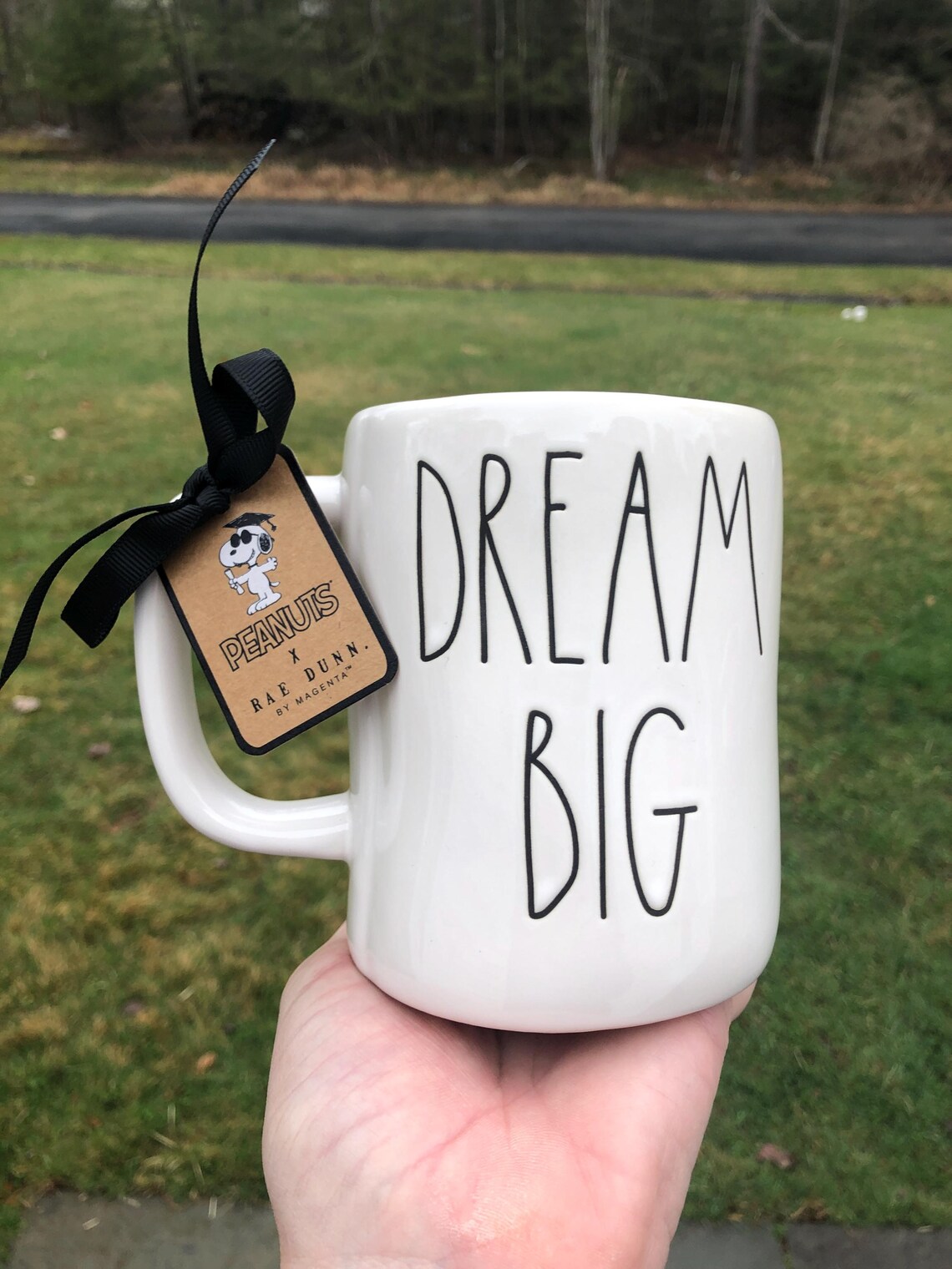 Rae Dunn New Peanuts Snoopy "dream Big" Graduate Graduation Mug No ...