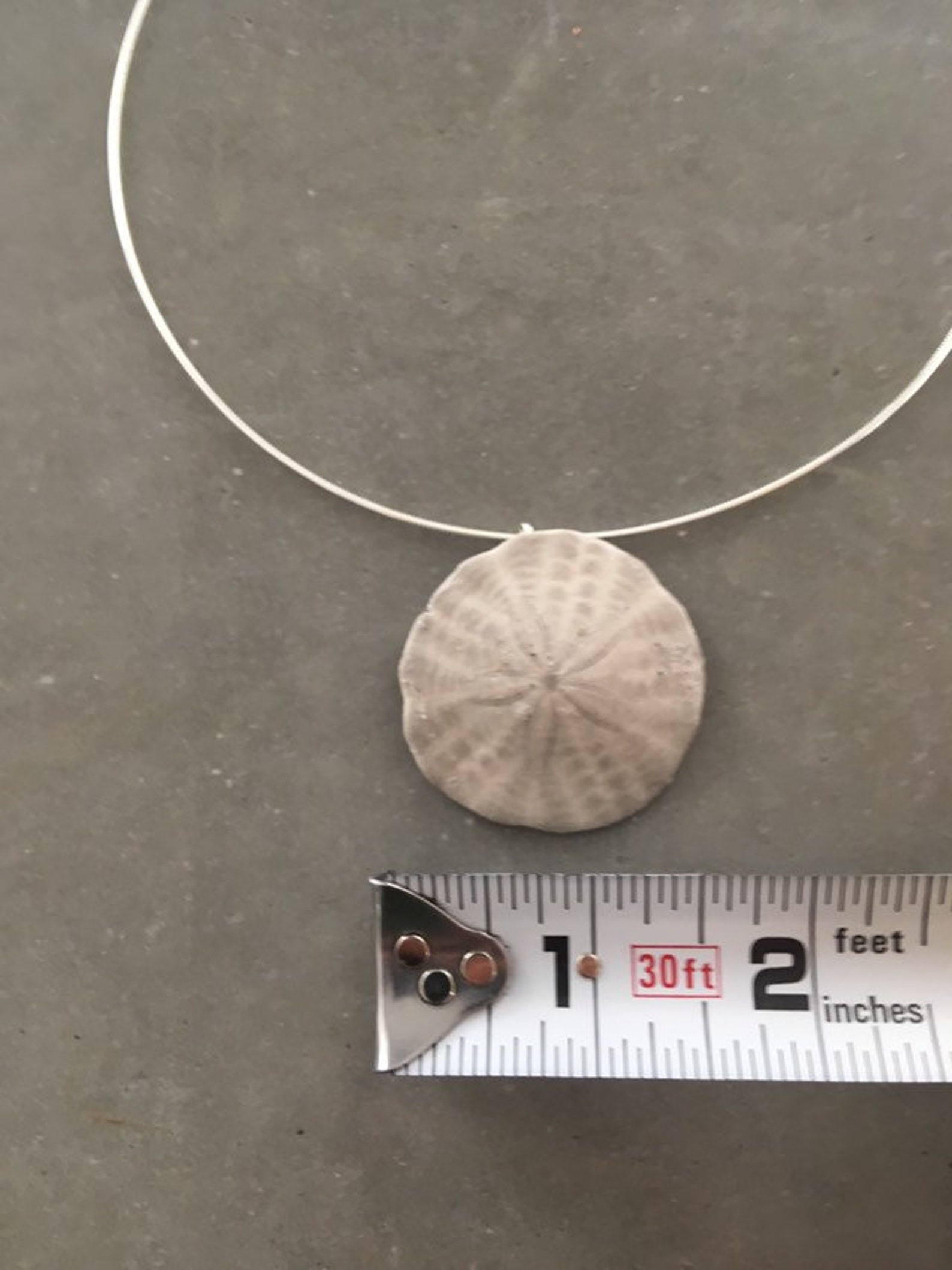 Real Sand Dollar Necklace Choker Popham Beach Maine - Etsy