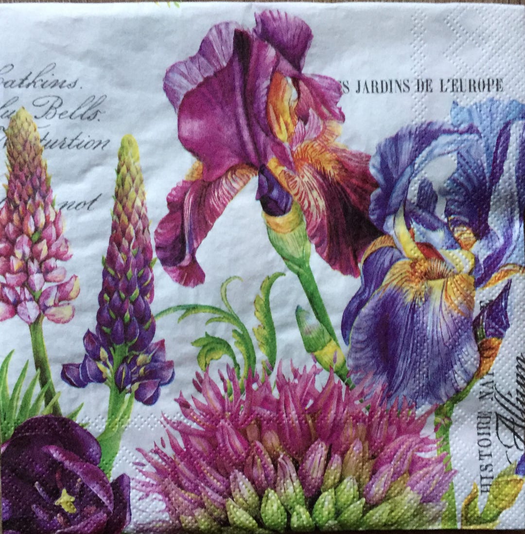 Floral Paper Napkins - Michel Design Works - Junk Journal-cocktail Size ...