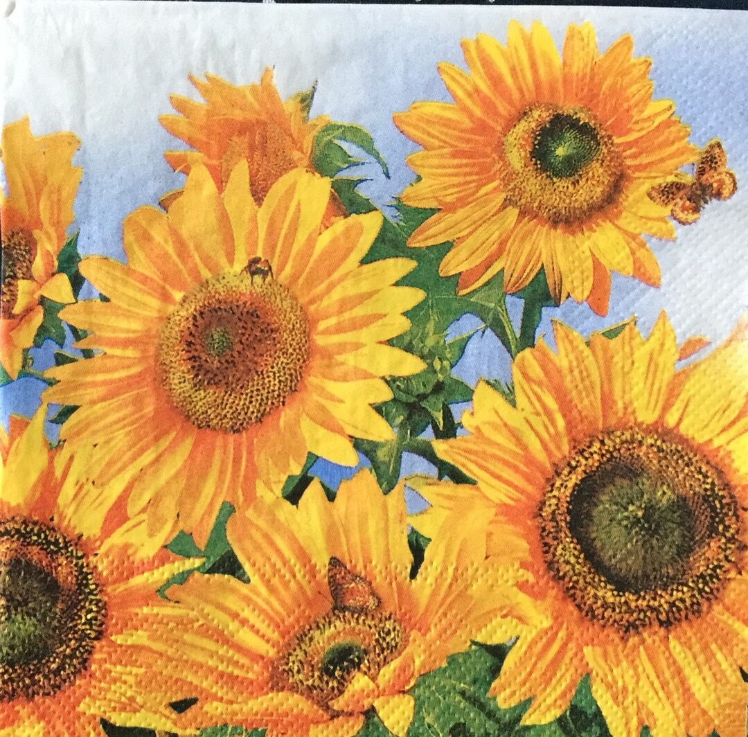 Sunflower Decoupage Paper Napkins: Cocktail Size, Ephemera for Crafts ...