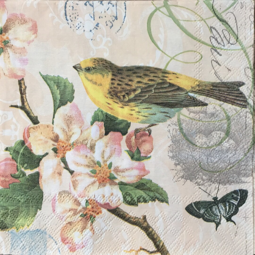 Bird & Blossom Decoupage Paper Napkins - Set of 4, Lunch Size - Etsy