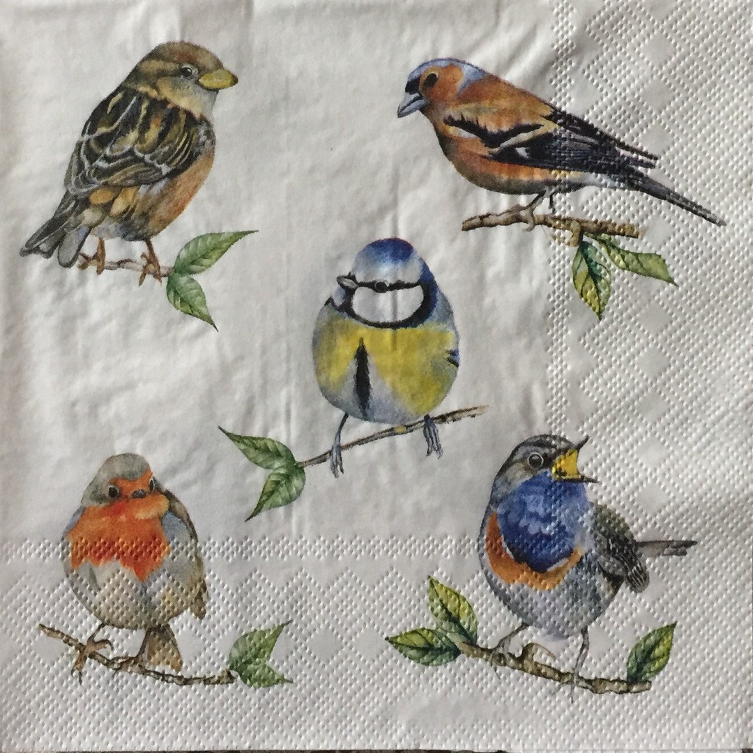 Bird Paper Napkins: Decoupage, Junk Journal- Lunch Size (set of 4) - Etsy