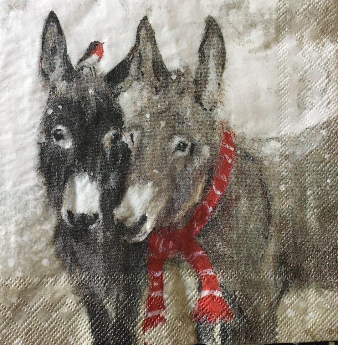 Donkeys & Robin Paper Napkins - Set of 4, Ephemera - Cocktail Size - Etsy