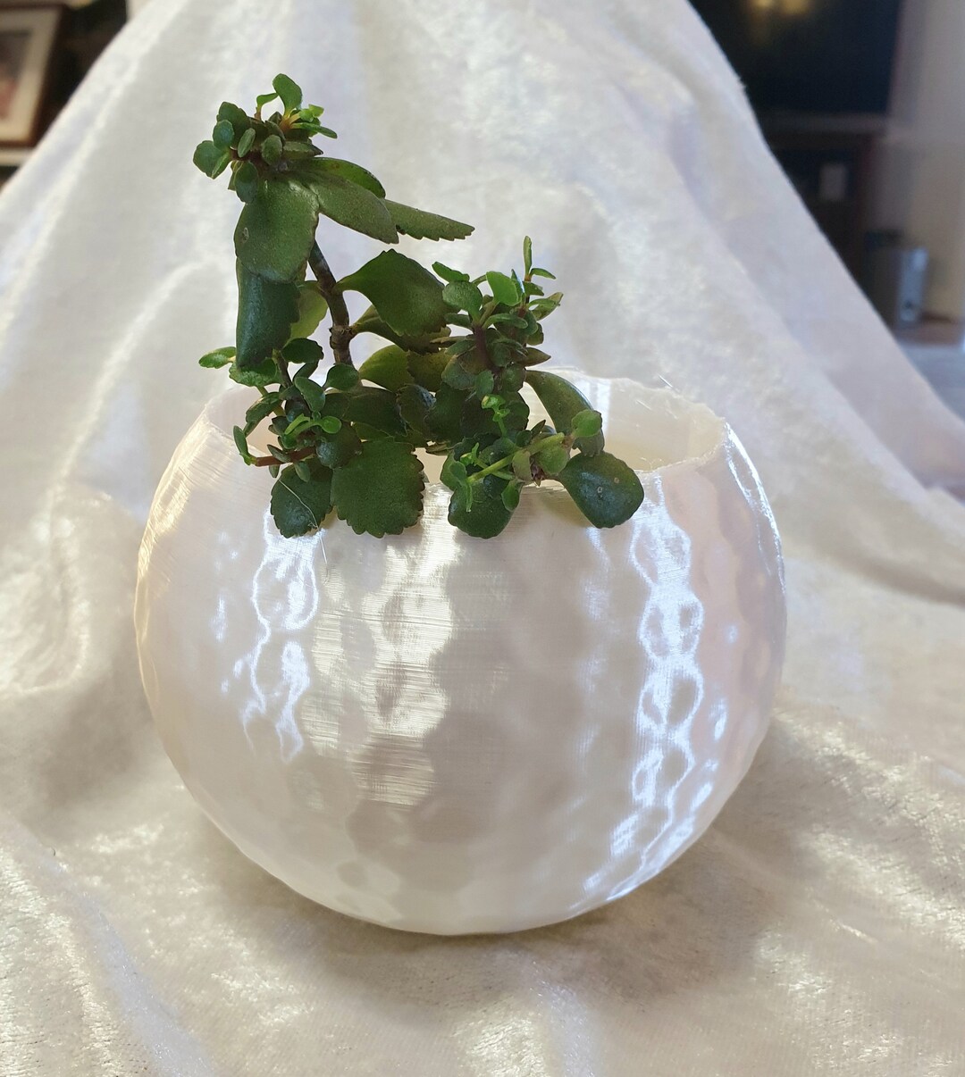 3D Printed Pot Planter Golf Ball Succulents Indoor Plants Bonsai - Etsy
