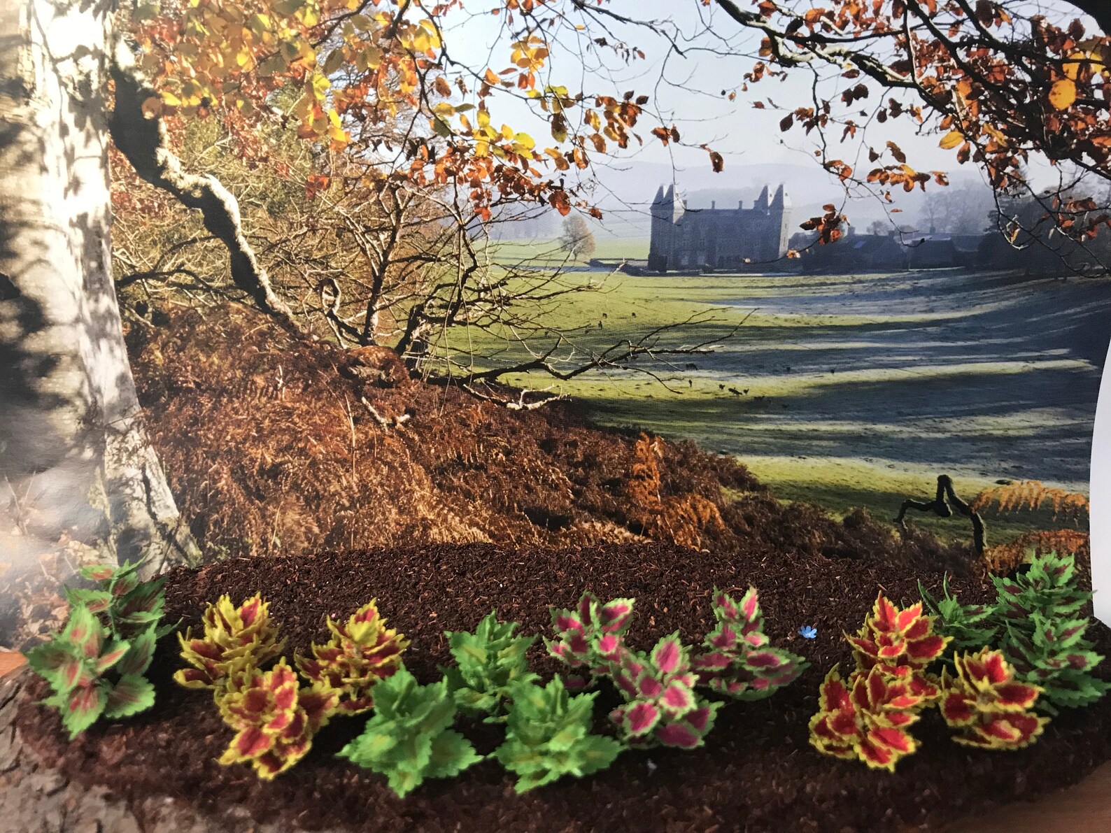 Coleus Plants Miniature 1:12 Scale | Etsy