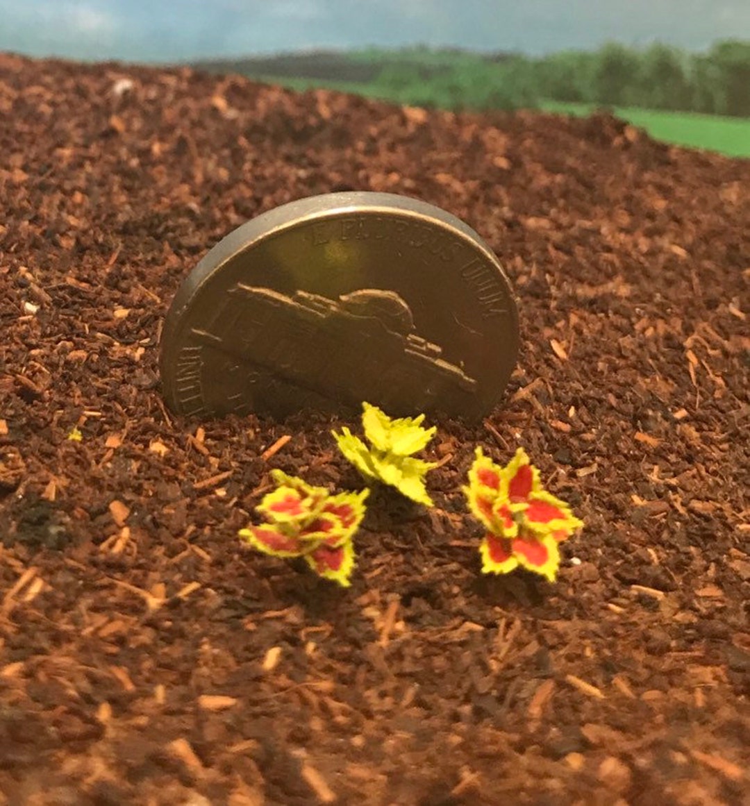 Coleus, Miniature - 1:48 Scale - Etsy