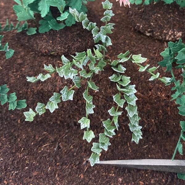 Dollhouse Ivy - Etsy