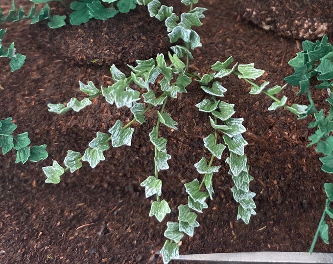 Ivy Stems Miniature 1:12 Scale - Etsy