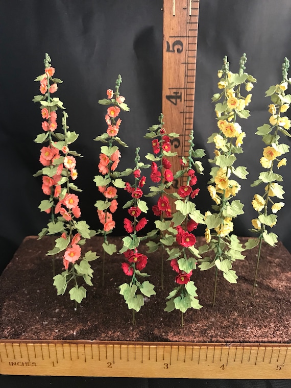 Miniature Hollyhock Info