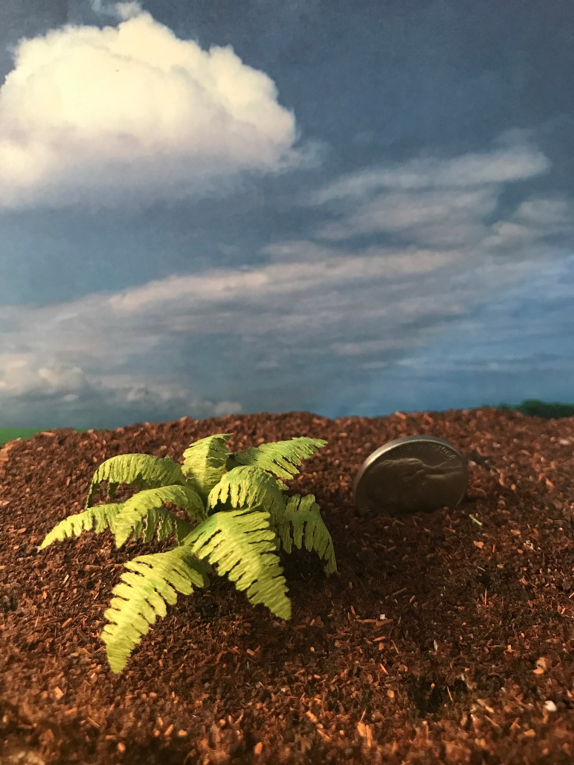 Fern, Ruffle- Miniature Scale - Etsy