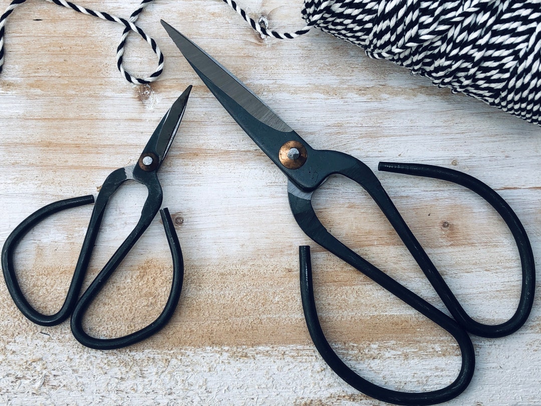 Traditional Black Metal Craft Scissors, Bonsai, Craft, Indoor Plants ...
