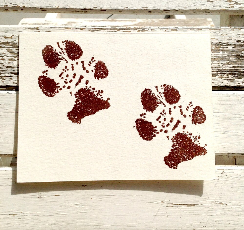 Dog Paw Stamped and Embossed on an off White Card With Coordinating Dog ...