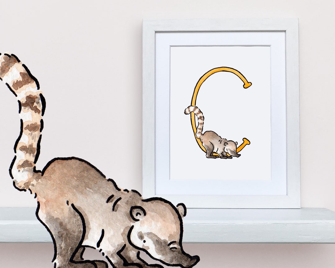 Animal Name Print, C is for Coati, Custom Nursery Art, 8"x10" Mounted ...