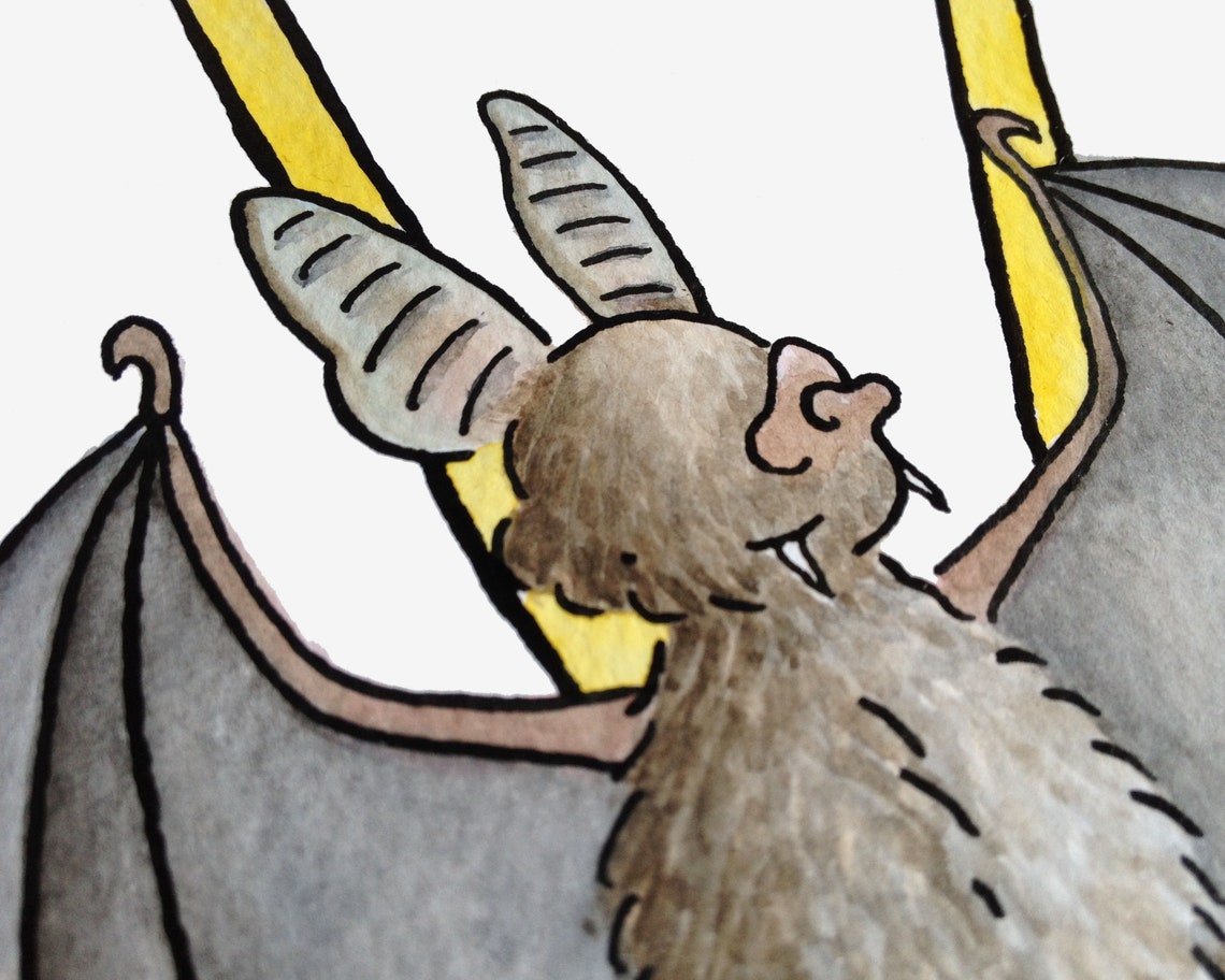 V is for Vampire Bat. Alphabet Nursery Art 8x10 | Etsy