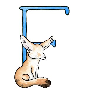 F is for Fennec Fox. Baby Animal Alphabet Illustration, Nursery Wall ...