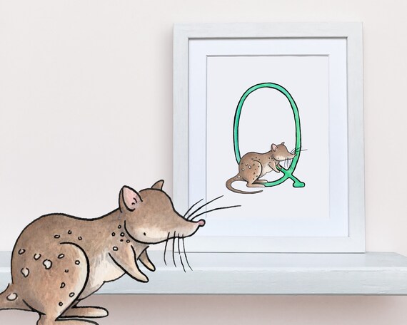 Letter Q Alphabet Nursery Art Illustration Q is for QUOLL | Etsy