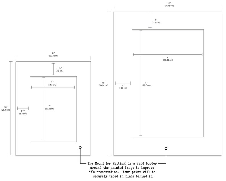 Nursery Art Set of Prints. Animal Wall Art. Safari Animal - Etsy