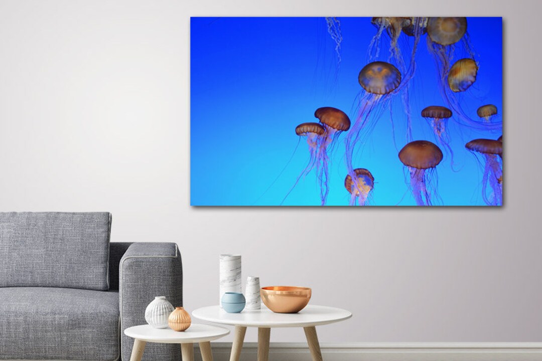 Jellyfish Photo Print: National Geographic Deep Sea Wall Art (16 X 24 ...