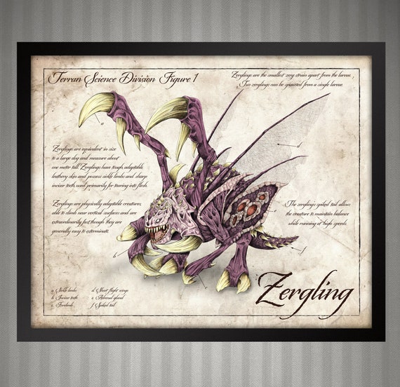 Starcraft 2 Zergling Portrait
