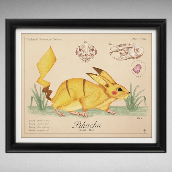 Scientific Illustrations - Etsy