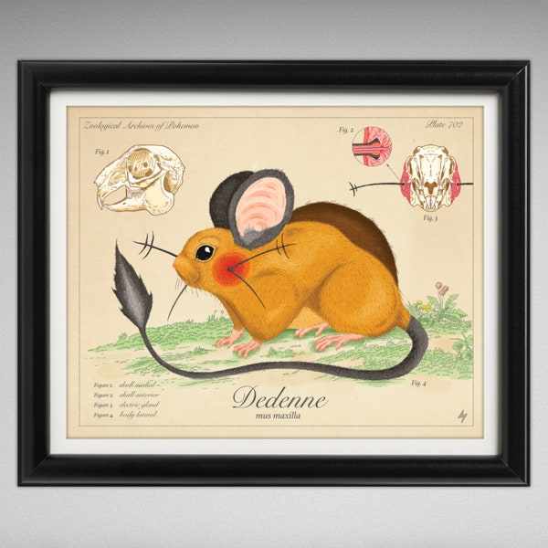 Scientific Illustration Prints - Etsy