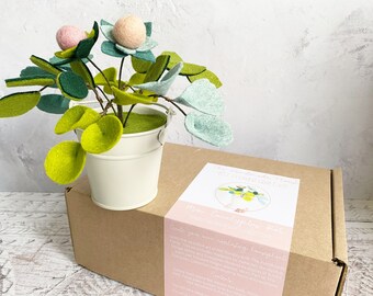 Flower Pot Felt - Etsy