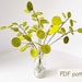 PDF Download - Felt Eucalyptus Stems Tutorial/pattern With Templates ...
