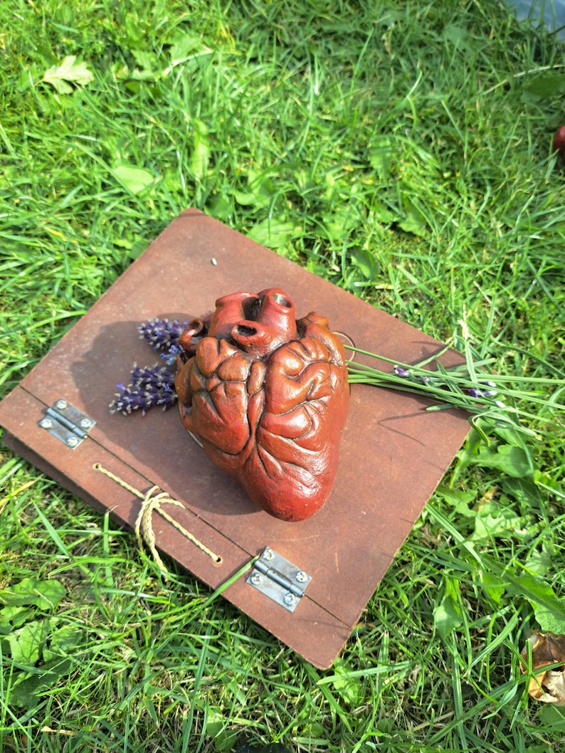 Realistic Heart Prop (latex) - Etsy