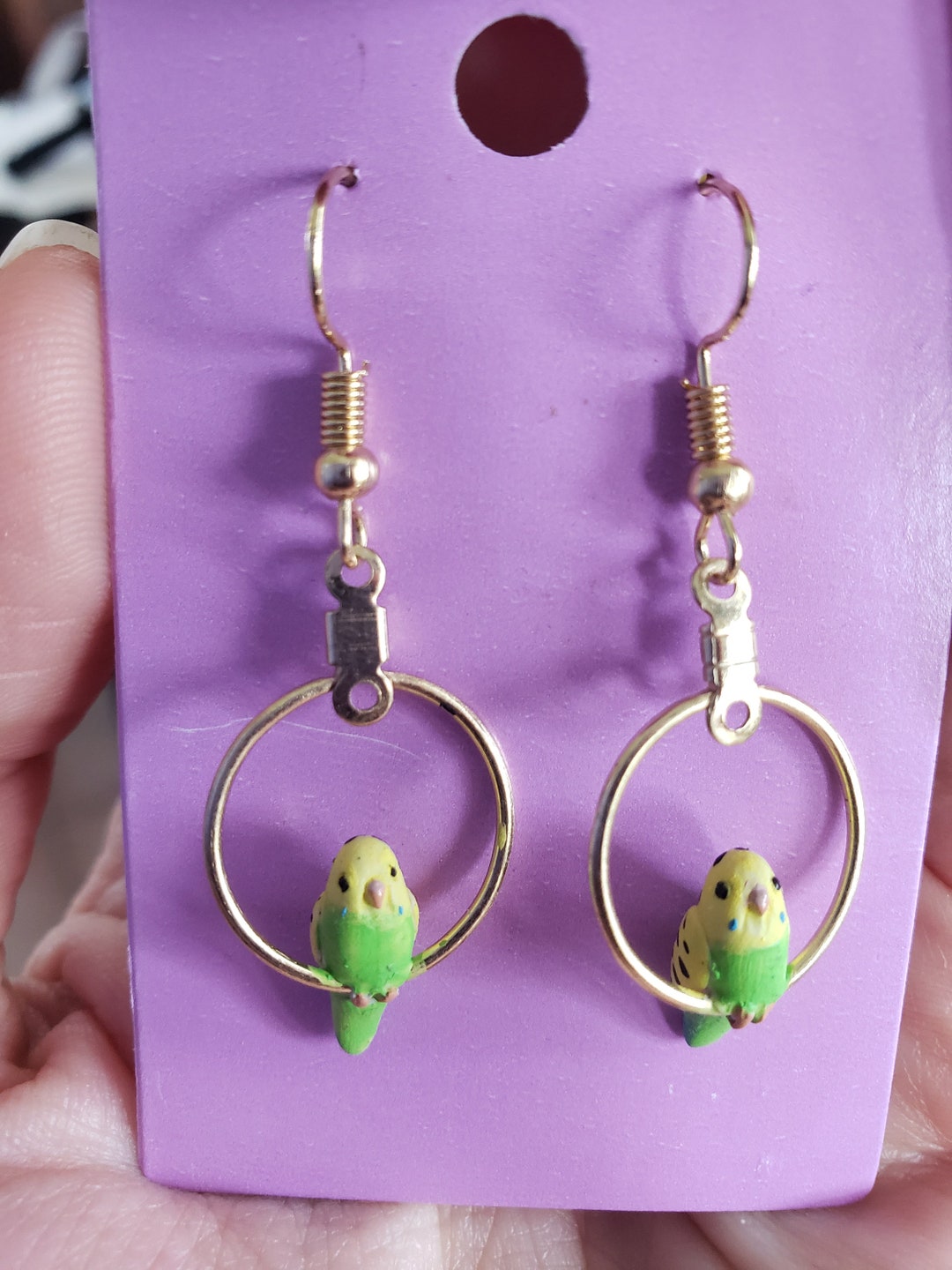 Green and Yellow Parakeet Budgie on a Perch Earrings - Etsy