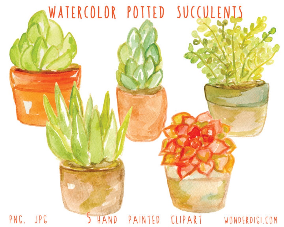 Real Watercolor Clipart - Hand Painted Watercolor Cactus Succulents ...