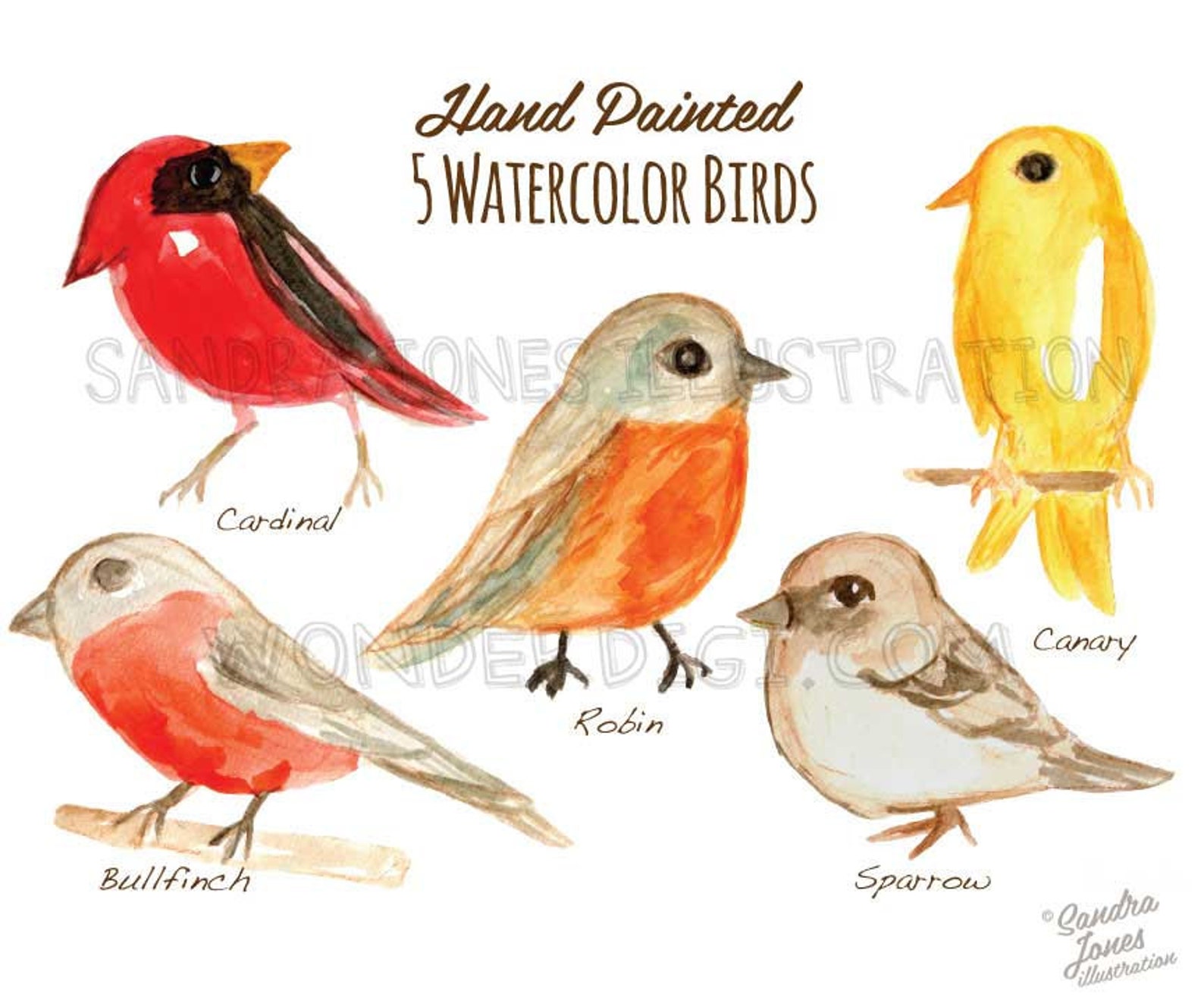 Watercolor Clipart - Watercolor Clip Art - Bird Clipart - Etsy
