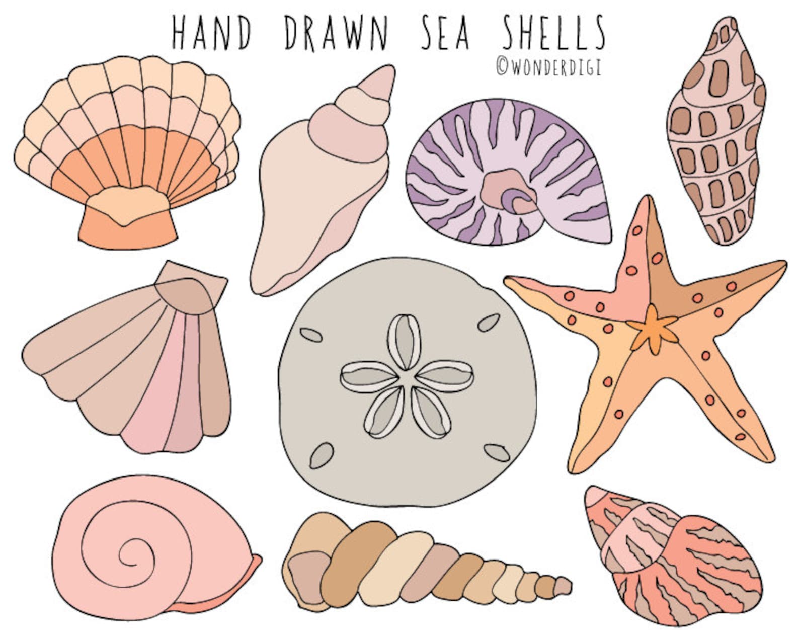 Sea Shells Clipart hand Drawn Clip Art Beach Clipart - Etsy