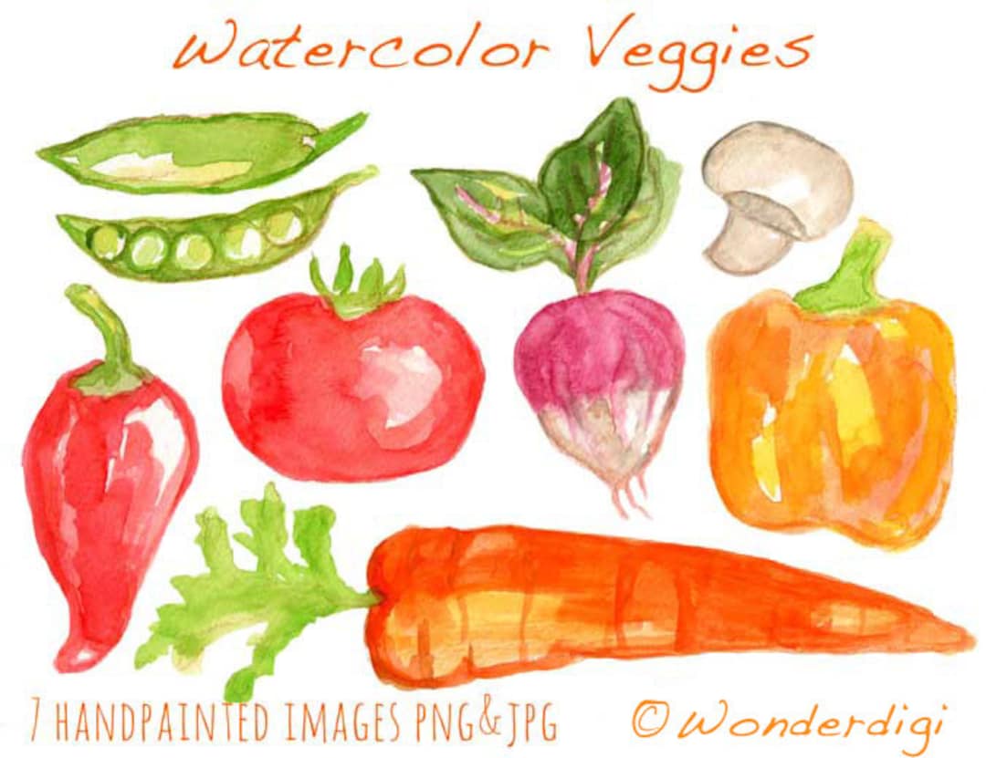 Watercolor Vegetable Clipart - Hand-painted Garden Illustration (PNG ...