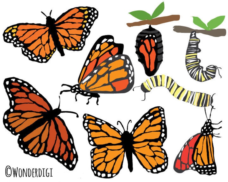 Butterfly Clipart - Monarch Butterflies Clip Art - Hand Drawn Clipart ...