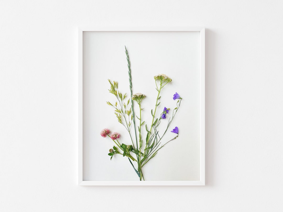 Foraged Colorado Wildflowers Art Print, Colorado Botanical Art, Foraged ...