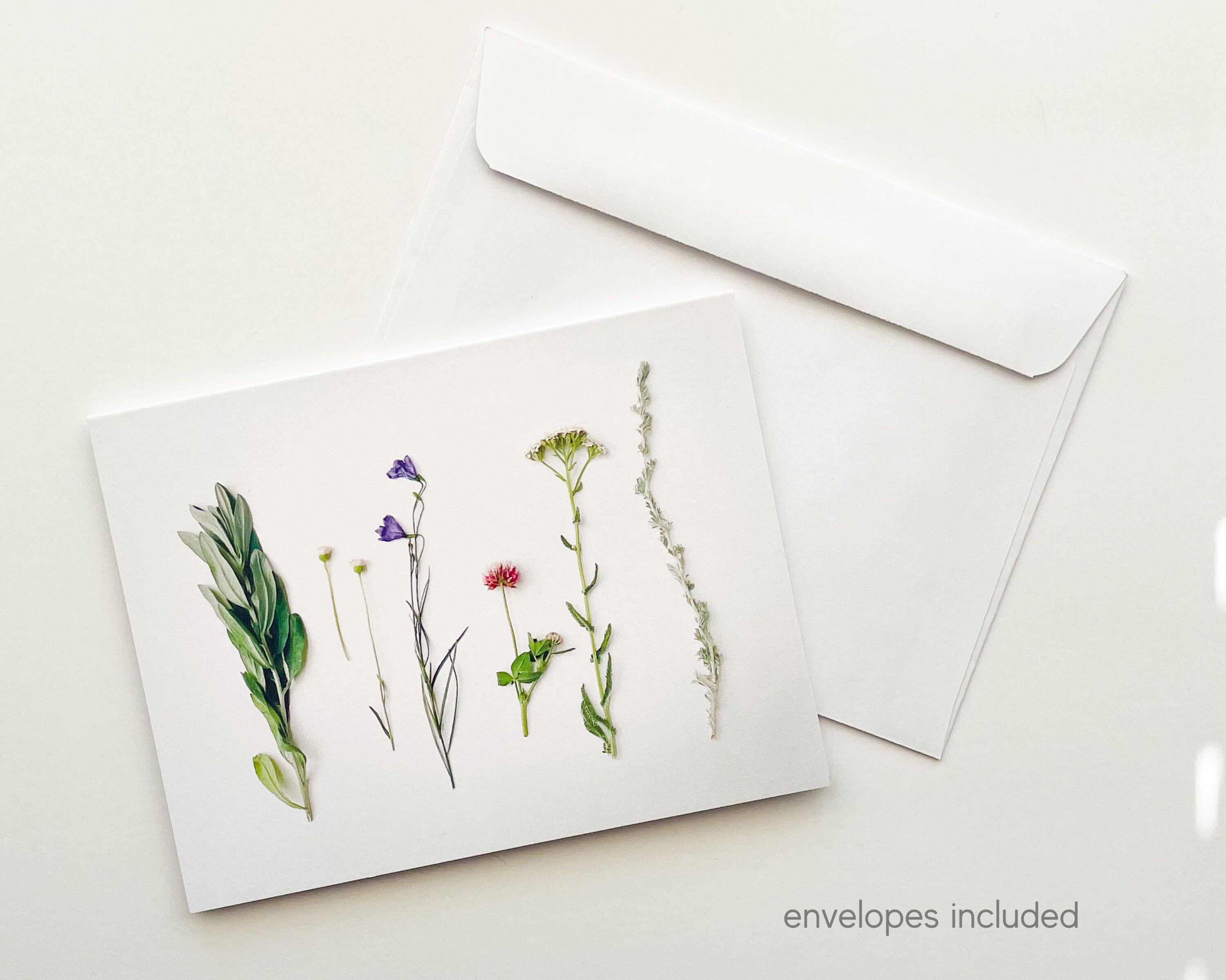 All Occasion Blank Floral Note Cards Variety Pack Set of 10 ...