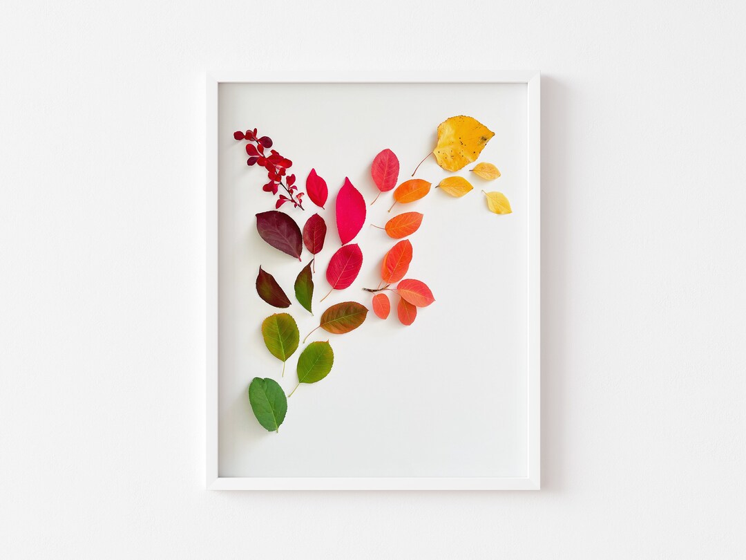 Foraged Fall Leaves Art Print, Colorful Leaves Botanical Art, Colorado ...