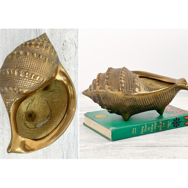 Conch Shell Planter - Etsy