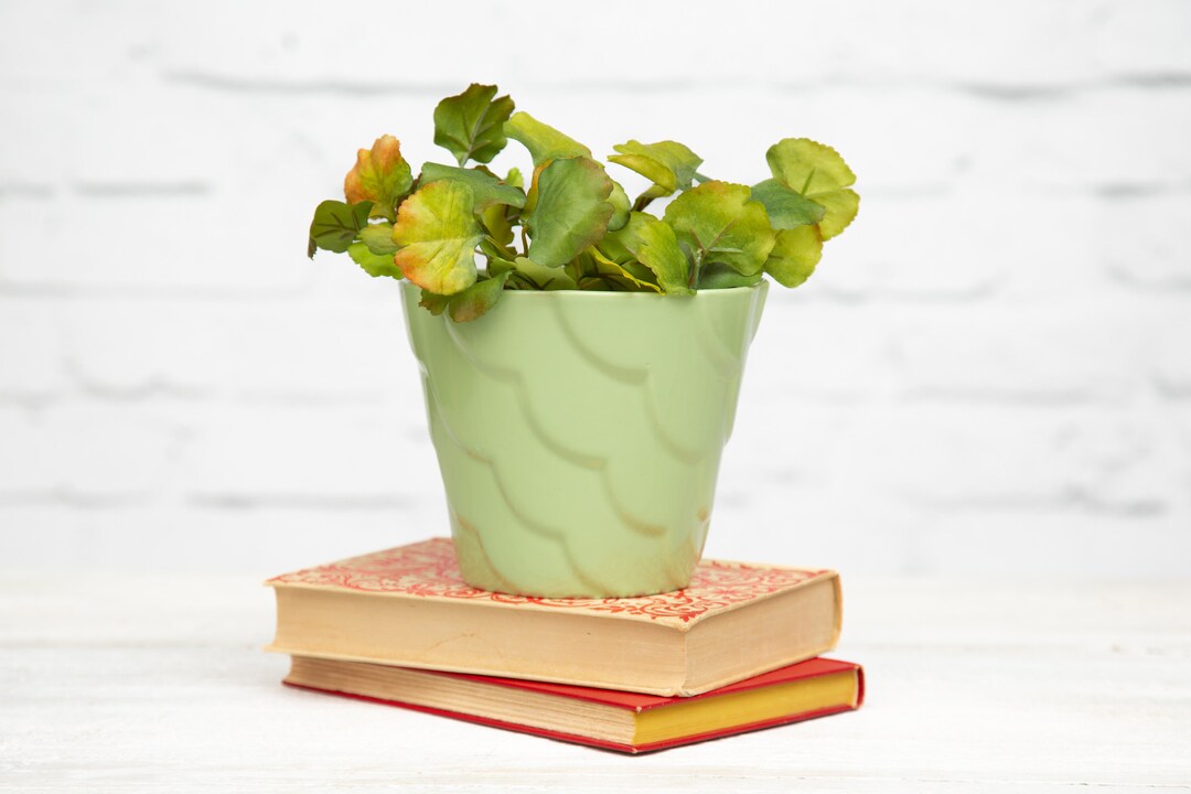 Vintage Light Green Planter by Alamo Pottery - 1940s Scalloped Soft ...