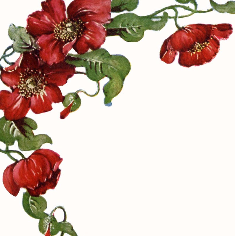 HEART SHAPED Border DIGITAL Download Red Roses Vines Flowers Add Your ...