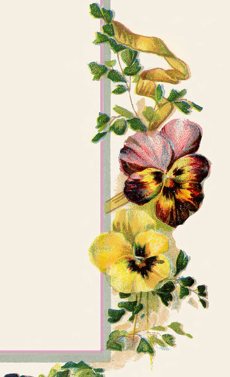 PANSY BORDER Add Your Own Text Photo Artwork DIGITAL Download Flowers ...