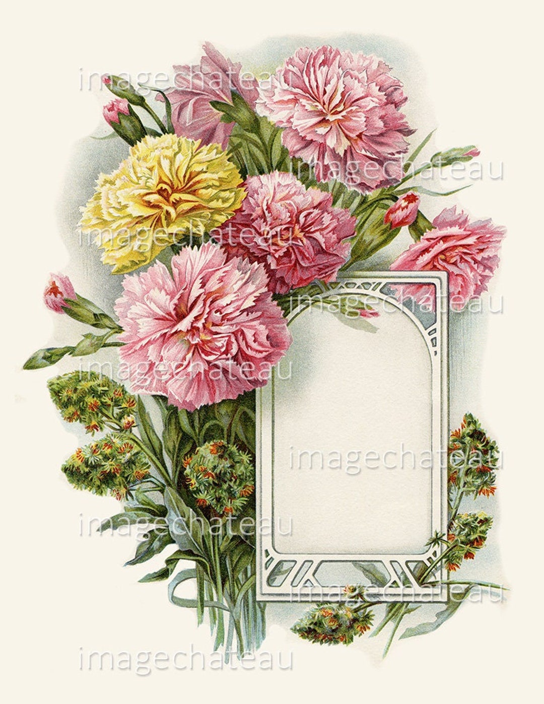 CARNATION Flowers Border DIGITAL Download From Vintage Image Add Your ...