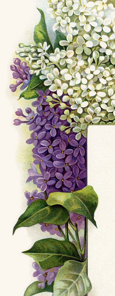 LILAC Flower Border Printable DIGITAL DOWNLOAD Add Your Own Text for ...
