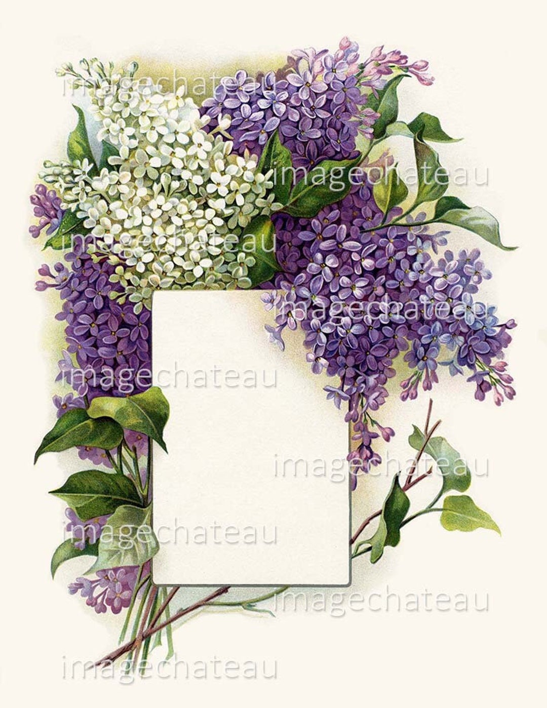 LILAC Flower Border Printable DIGITAL DOWNLOAD Add Your Own Text for ...