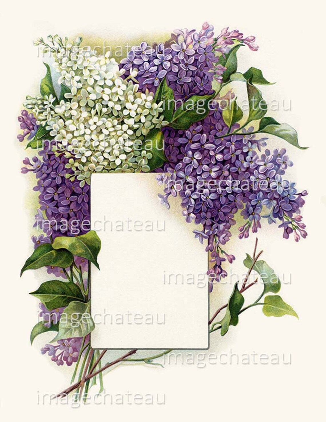 LILAC Flower Border Printable DIGITAL DOWNLOAD Add Your Own Text for ...