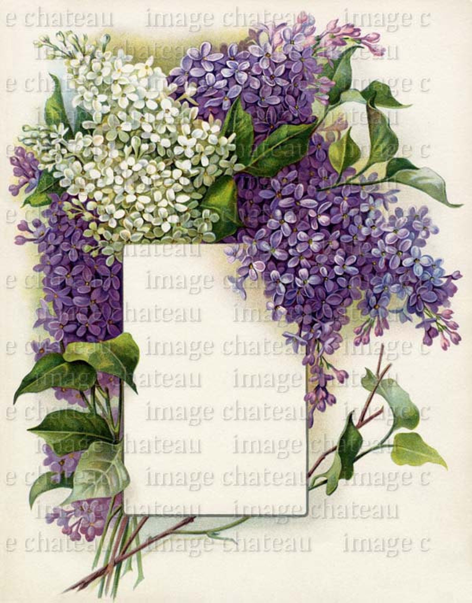 LILAC Flower Border Printable DIGITAL DOWNLOAD Add Your Own | Etsy
