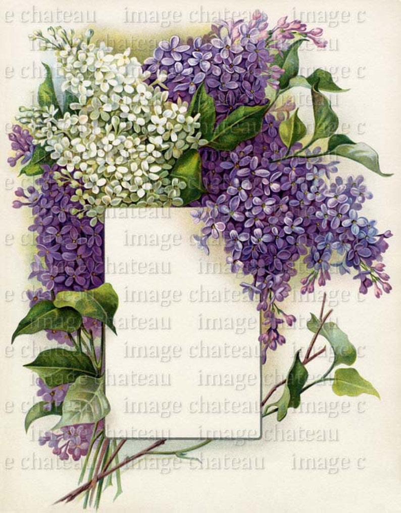 LILAC Flower Border Printable DIGITAL DOWNLOAD Add Your Own | Etsy
