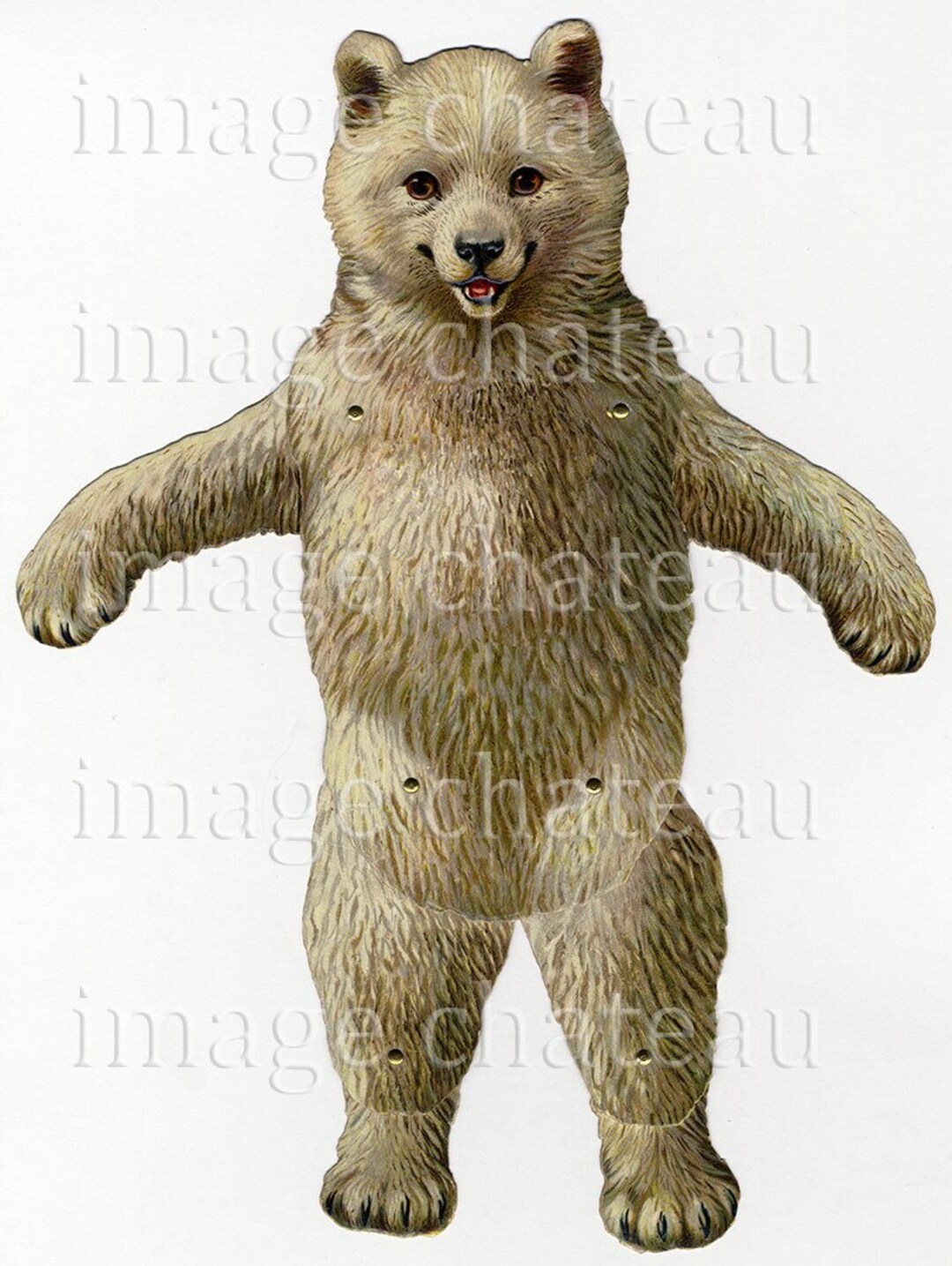 POLAR BEAR Mechanical Paper Toy Cut Out DIGITAL Printable Download ...