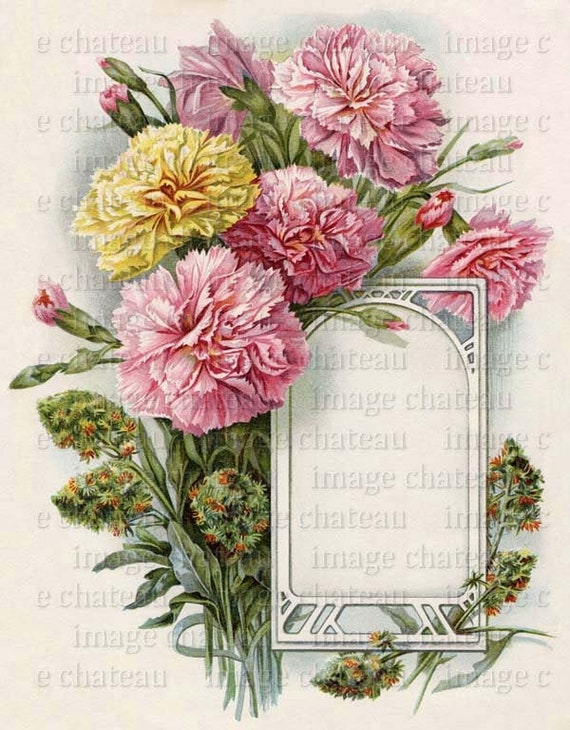 CARNATION Flowers Border DIGITAL Download From Vintage Image | Etsy